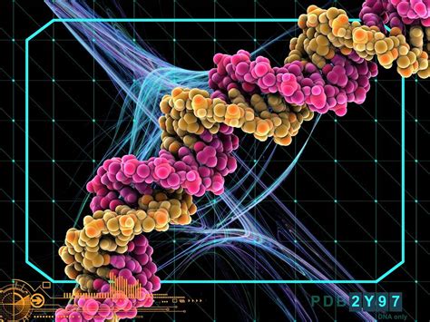 Yeast Dna Molecule Photograph By Laguna Designscience Photo Library