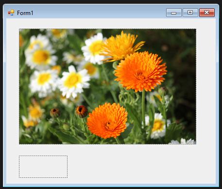 C Get Color Of Picturebox With The Mouse Almost Complete Stack Overflow