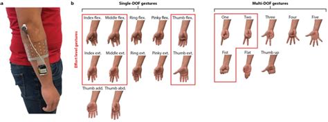 Figure 1 From Adaptive Emg Based Hand Gesture Recognition Using