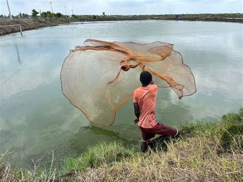 Improving Performance Through Sentinel Sites Kona Bay