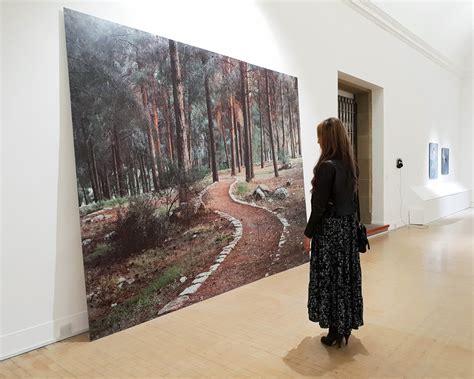 Roei Greenberg Official Website