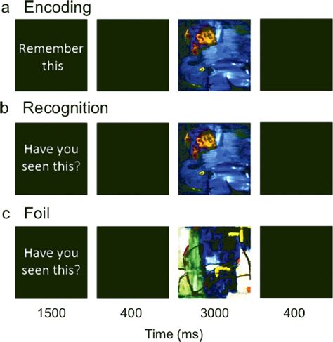 The Visual Recognition Fmri Task Paradigm Color Figure Can Be Viewed Download Scientific