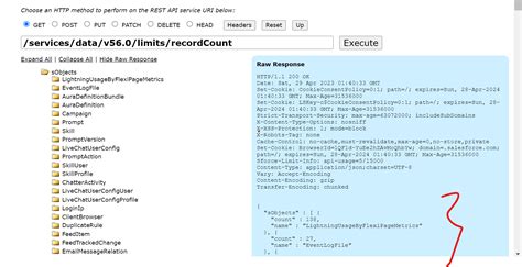 Get The Record Count Of All Countable Sobjects In Salesforce