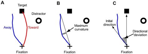 the distractor paradigm and measures for quantifying saccade trajectory