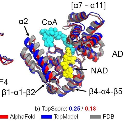 Comparison Of Binding Sites A Cut Out Of The Binding Site For Three