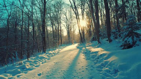 Обои на рабочий стол пейзаж зимой кругом снег рассвет лучи солнца