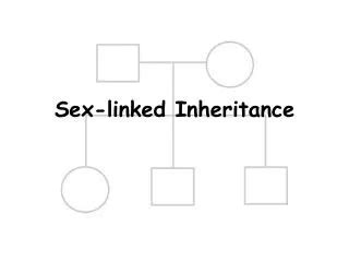 PPT Sex Linked Inheritance PowerPoint Presentation Free Download ID