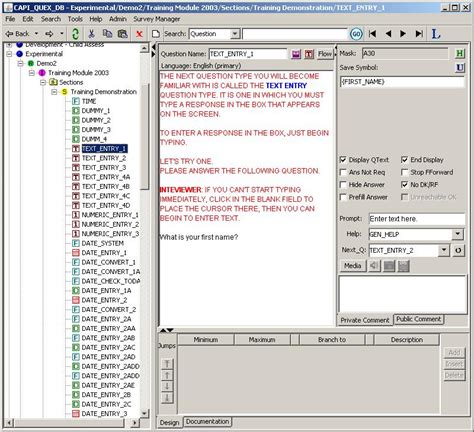 Sample Text Entry Question Type