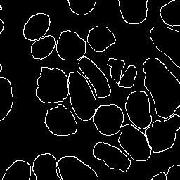 About The Results Issue LeeJunHyun Image Segmentation GitHub