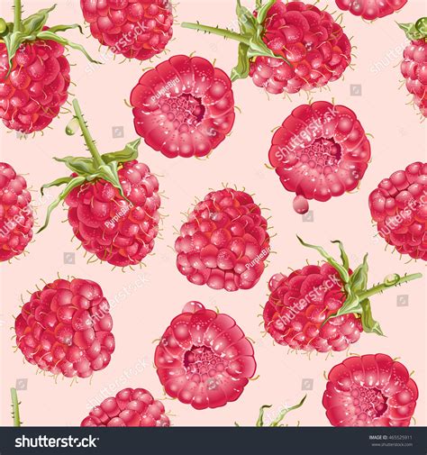 Vector Raspberry Seamless Pattern Background Design Stock Vector Royalty Free 465525911