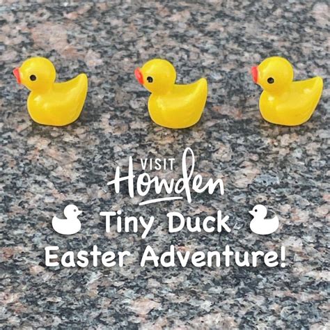 Visit 🦆💚👀 How Many Ducks Can You Find 🦆💚👀 Visit Howden Tiny Duck