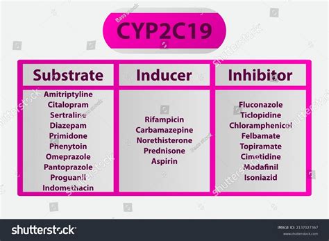 Cyp2c19 Cytochrome P450 Enzyme Pharmaceutical Substrates Stock Vector