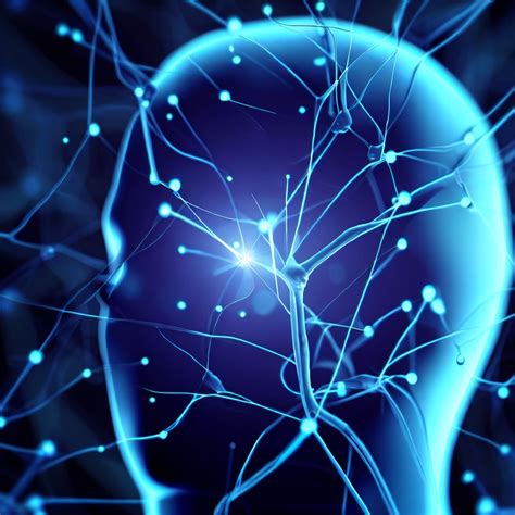 neural networks explained