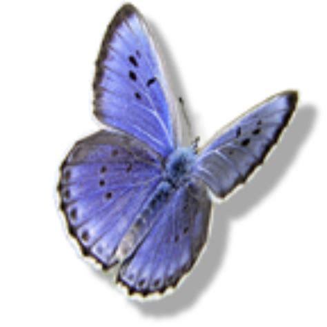 Cropped Fav Retinapng Unity Lime