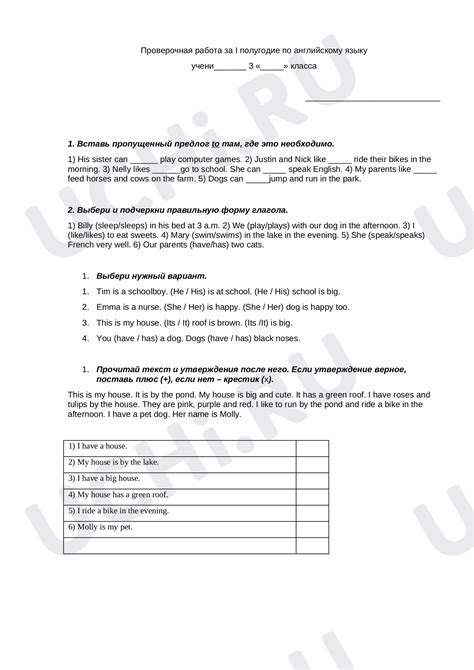 🖍 Проверочная работа №3 по теме “Проверочная работа по английскому