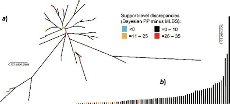 discrepancies between ml and bayesian support values a ml phylogram