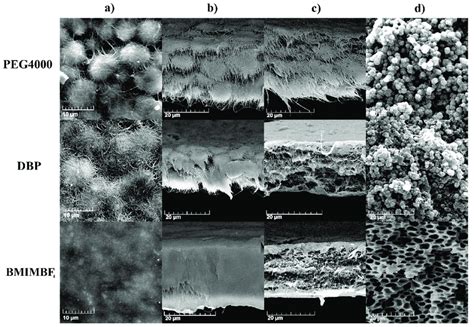 Micrographs Of Electrodes And Pvdf Membranes Prepared With Different Download Scientific
