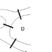 Königsberg Bridge Problem Download Scientific Diagram