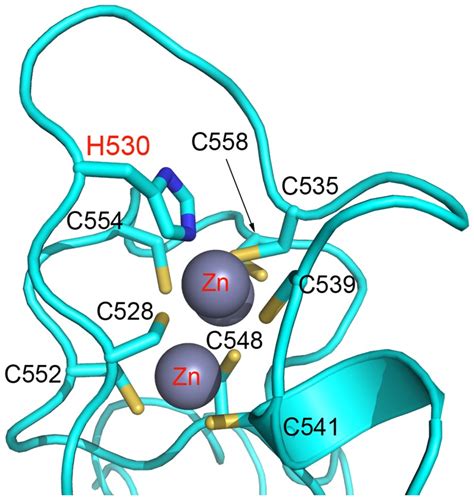 Ezh2 Set Cyan Is Represented As A Ribbon Diagram With Zinc Atoms
