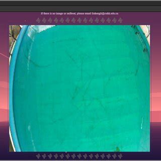 User Interface In The Browser Including The Monitor Control Button Download Scientific