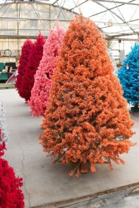 Shot Of Colored Christmas Trees Flocked In Different Colors Christmas Tree Christmas Crafts