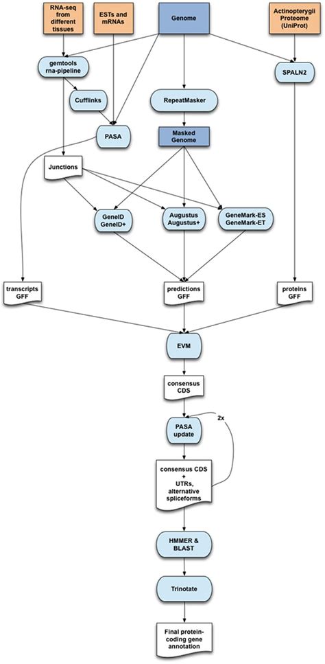 overview of the annotation pipeline input data for annotation are