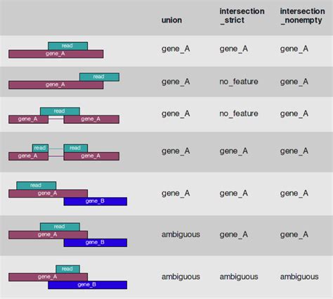 Alignment To Read Counts And Visualization In Igv Uc Davis