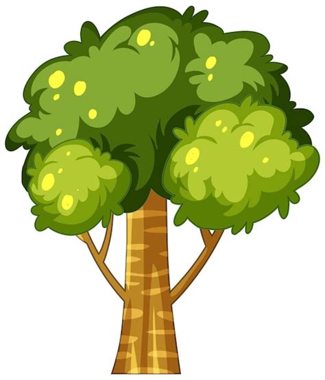Premium Vector Isolated Tree On White Background