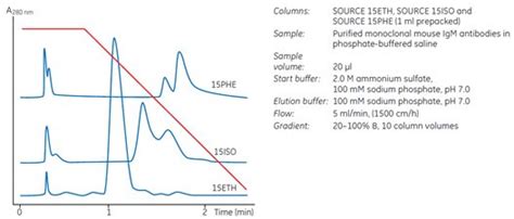 Hic Purification Options And Scale Up With Source™ Media