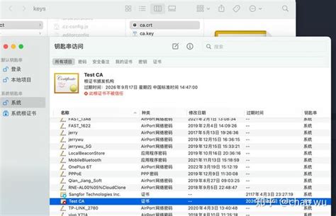 Vite集成，并安装本地自签名证书 同时解决msw Fallback Mode问题 知乎