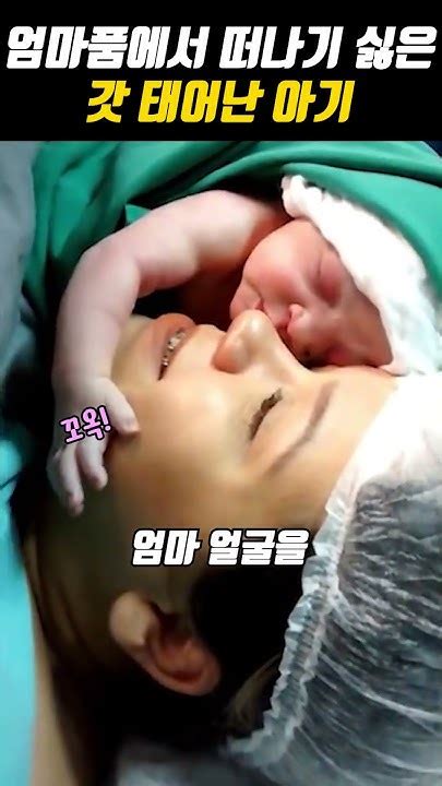 엄마품에서 떠나기 싫은 갓 태어난 아기 귀여운 사랑 가족 엄마 Shorts Youtube