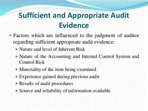 9 audit evidence