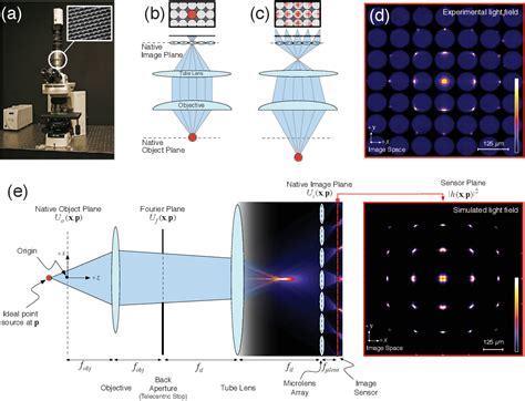 Figure 2 From Wave Optics Theory And 3 D Deconvolution For The Light