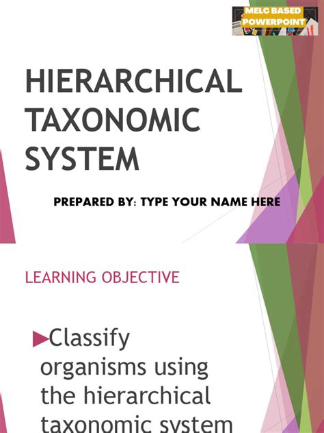 g8 science q4 week 4 hierarchical taxonomic system pdf plants