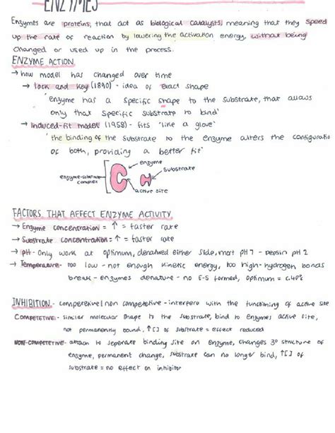 Enzymes Its Lecture Notes Biochemistry Genetics Biotechnology Studocu