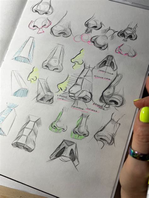 Нос рисунок 드로잉