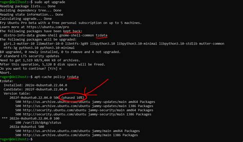 Ubuntu Phased Package Update New Screwdriver