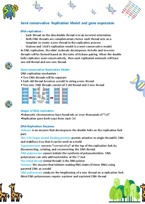 Semi Conservative Replication Model And Gene Expression ∑ Both Dna Threads Are Complementary