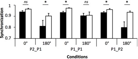 Degrees Of Synchronization As A Function Of The Trial Segments For Download Scientific Diagram