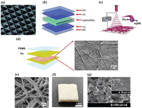 A Sem Image Of Microstructured Agnwpdms Dielectric Layer B