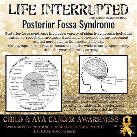 Posterior Fossa Syndrome Prognosis Mapasgmaes