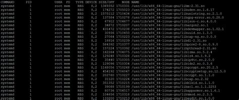 Linux Lsof Command Tutorial For Beginners 15 Examples