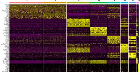 Doheatmap Adjust Column Widths Issue Satijalab Seurat Github