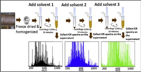 Schematic Diagram Of Our Sequential Extraction Protocol For Som