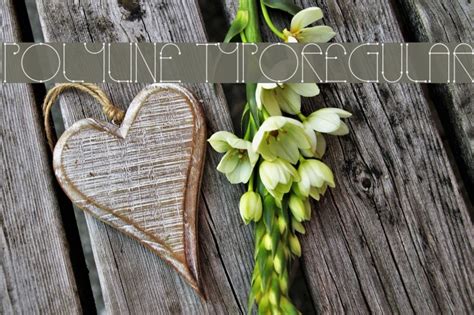 Polyline TypoRegular Font FFonts Net