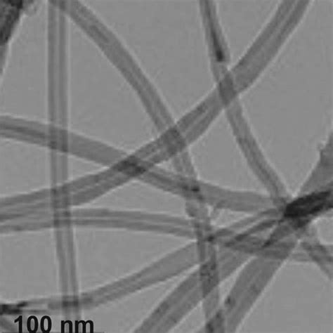 High Resolution Of A Scanning Tunneling Microscope Micrograph From Dna Download Scientific