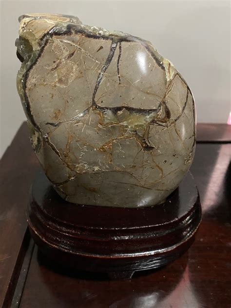 Fossilised Crystal Resembles Turtle Shell Hobbies And Toys Memorabilia And Collectibles Vintage