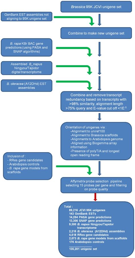 Work Flow Of The Affymetrix Genechiph Brassica Exon 10 St Array Data Download Scientific