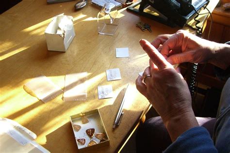 So Amazing To Think Of All The Trees I Ve Chopped From The Gold And Sterling Sheet