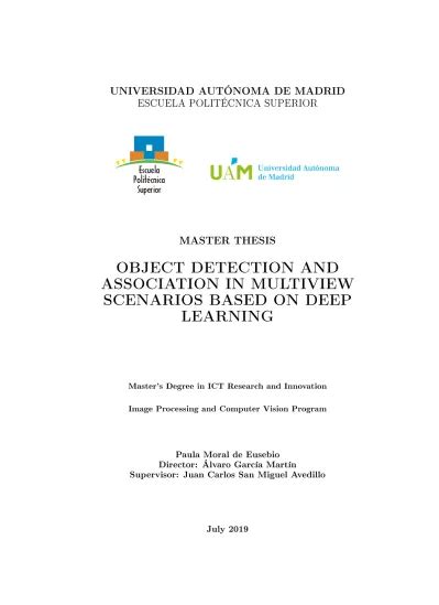 Future Work Object Detection And Association In Multiview Scenarios